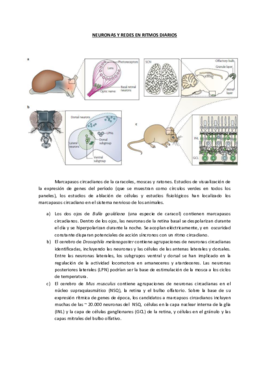 Tema 6. complementario 2.pdf