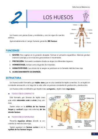 TEMA 2. Los huesos.pdf