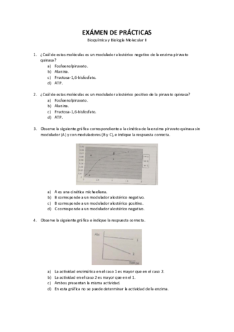 Examen de Prácticas BqII.pdf