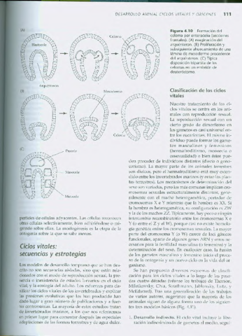 06 3 Ciclos vitales animales.pdf
