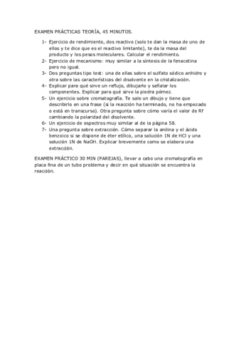 EXAMEN PRÁCTICAS TEORÍA.pdf