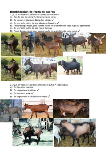 Identificación de razas de cabras .pdf