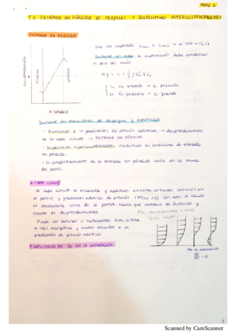 ENTRADA EN PERDIDA PERFILES.pdf