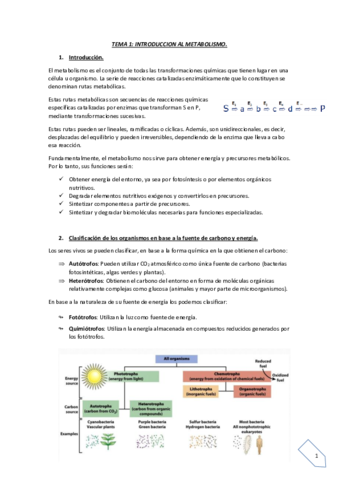 TEMA 1 bqII.pdf