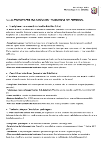 Tema 11 MicroB.pdf