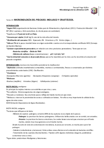 Tema 19 MicroB.pdf