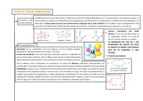Esquema Tema 18. Acidos carboxilicos.pdf
