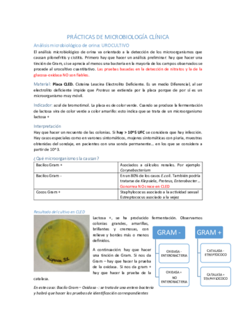 PRÁCTICAS DE MICRO CLÍNICA.pdf