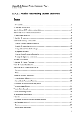 Tema 1 - Pruebas funcionales y proceso productivo.pdf
