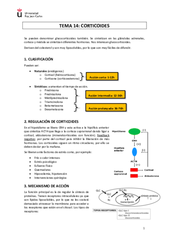 TEMA 14 - Corticoides.pdf