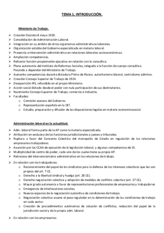 Tema 1 Dcho Adm del Trabajo.pdf