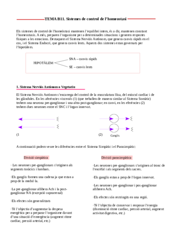 Resumen-de-sintaxis-con-ejemplos-y-lexico: concepto y apuntes ...