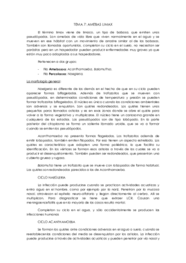 TEMA 7. AMEBAS LIMAX.pdf