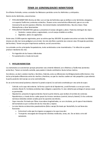 TEMA 14.pdf
