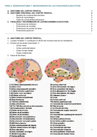TEMA 8. NEUROANATOMIA Y NEUROIMAGEN DE LAS FUNCIONES EJECUTIVAS. .pdf