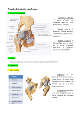Tema 10. Articulación de la rodilla.pdf