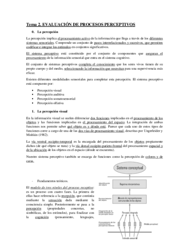Tema 2 - Ev. procesos perceptivos.pdf