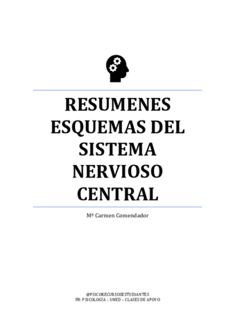 ESQUEMAS SNC.pdf