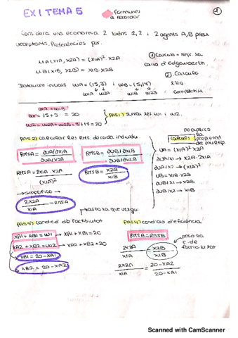 EX 1 tema 5 EXPLICAT_.pdf