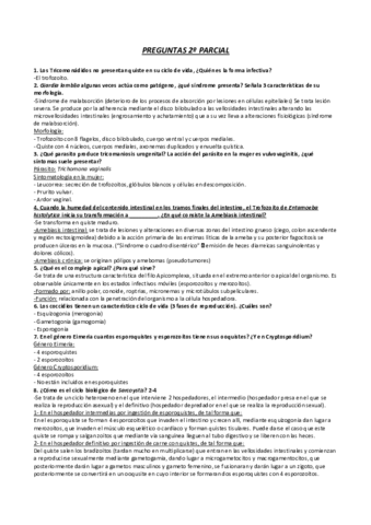 II - Preguntas Segundo Parcial.pdf