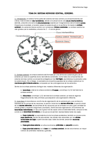 TEMA-54-SISTEMA-NERVIOSO-CENTRAL-CEREBRO.pdf