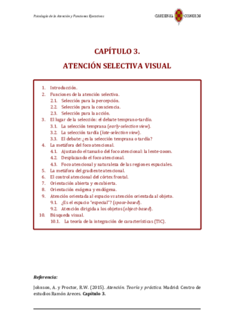 3.-Atencion-selectiva-visual.pdf
