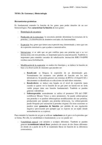 TEMA-2b-BMP.pdf