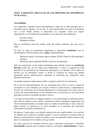 TEMA-7-BMP.pdf