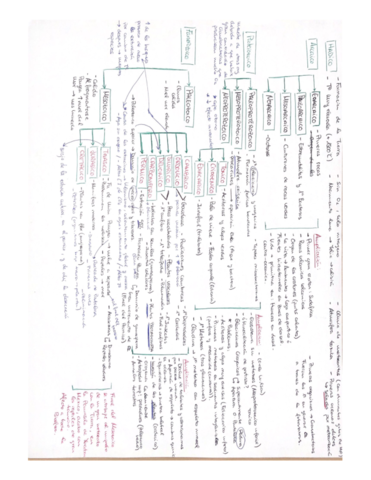 Esquema-general-Teodoro.pdf