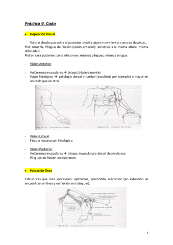 Práctica 9. Codo.pdf