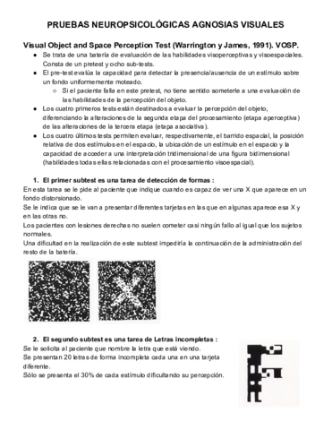 Practica-VOSP.pdf