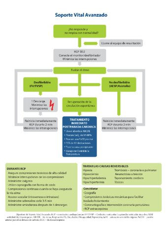 Algoritmo-SVA-Adulto.pdf