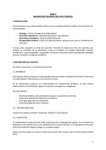 TEMA-1-CC-AOH-OK.pdf