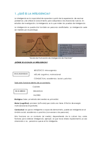 INTELIGENCIA.pdf