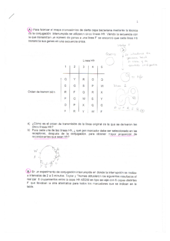 Problemas-extra-genetica.pdf