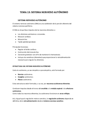 Anatomia-T13.pdf