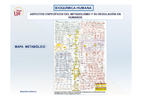 Bioquimica-Humana.pdf