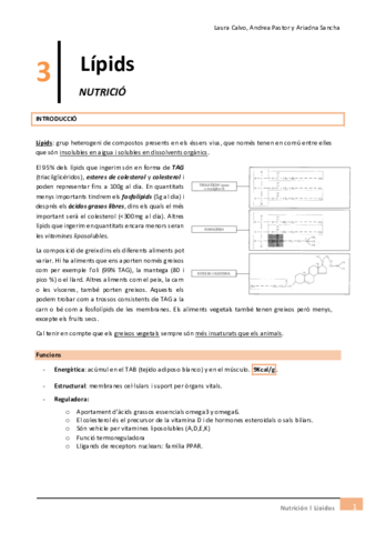 Lipids.pdf