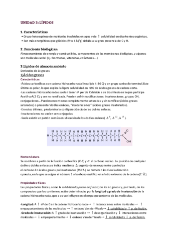 Unidad-3-Lipidos.pdf