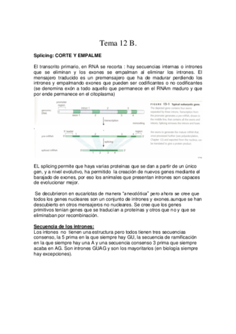 Tema 12 B.pdf