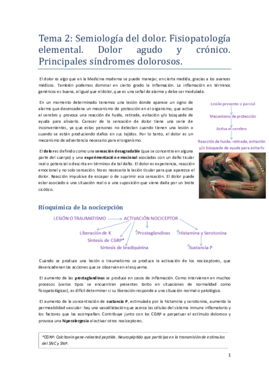 (AS) Tema 2. Semiología del dolor..pdf
