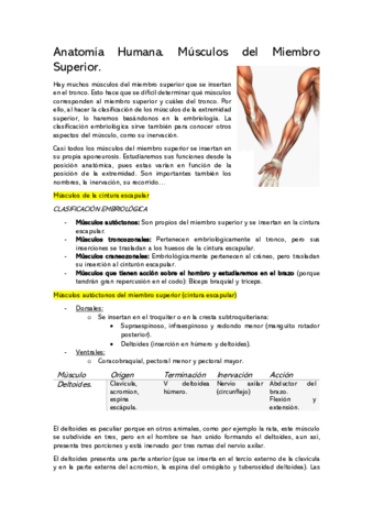 Anatomia-Humana.pdf