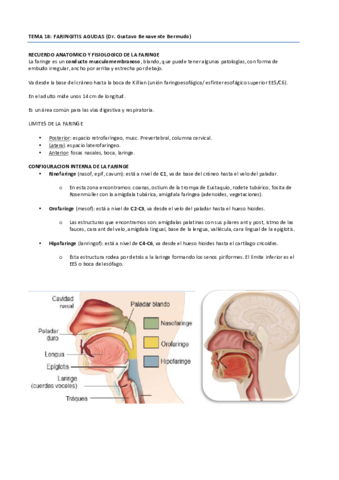 ORL 18. Faringitis agudas..pdf