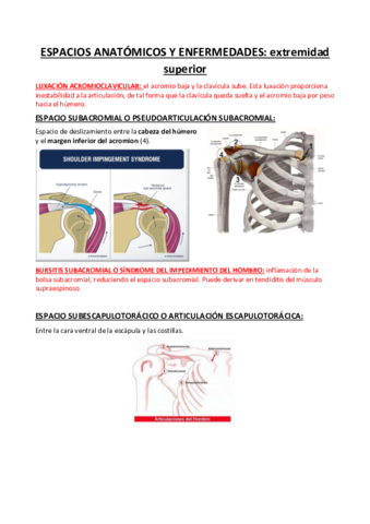 Espacios-anatomicos-EESS.pdf