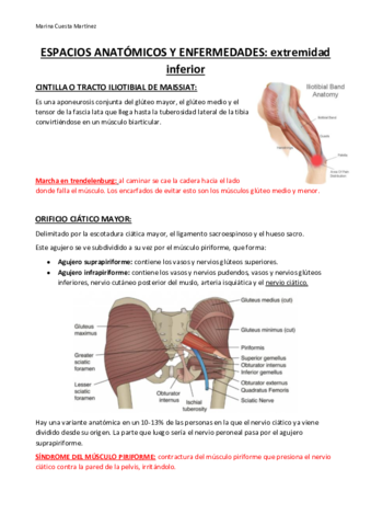ESPACIOS-ANATOMICOS-Y-ENFERMEDADES-EEII.pdf