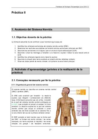 Practica-danatomia-del-sistema-nervios.pdf