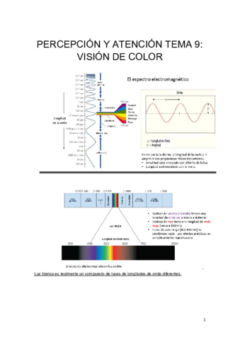 TEMA-10-percepcion-de-color.pdf