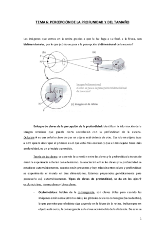 TEMA-6-AP.pdf