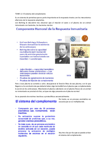 TEORÍA - SISTEMA DEL COMPLEMENTO (1).pdf