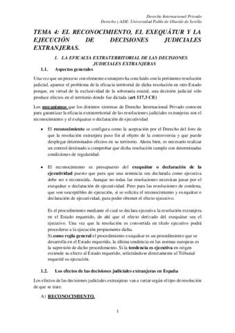 TEMA-4-DIP.pdf